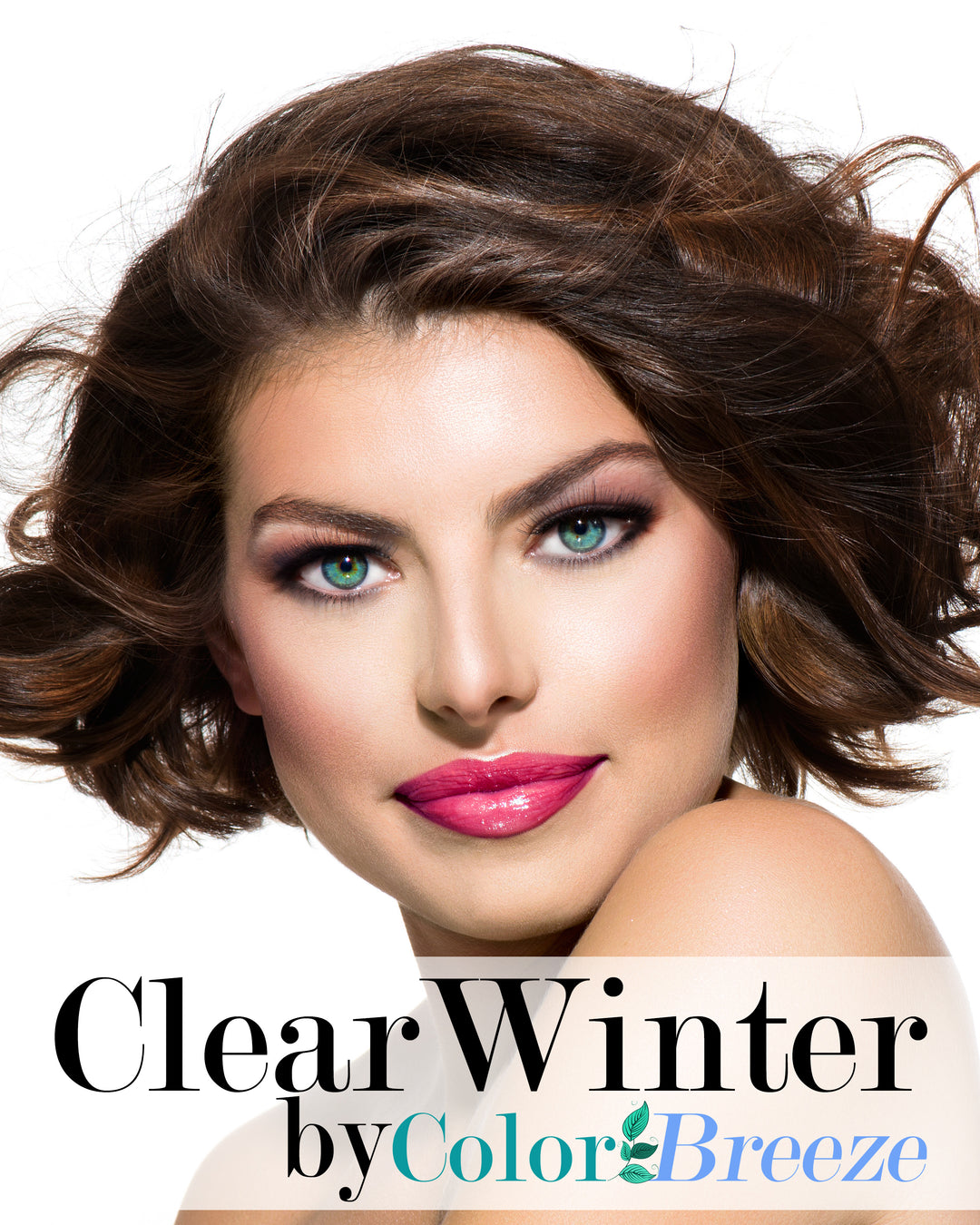 Products – The Color Shop